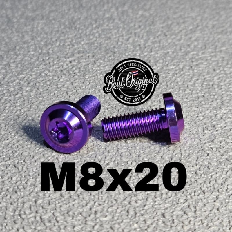 Probolt ไทเทเนียม bolt 8x20 เกลียว 12 ยาว 2 ซม. ร่มหัวใหญ่เวียดนาม ...