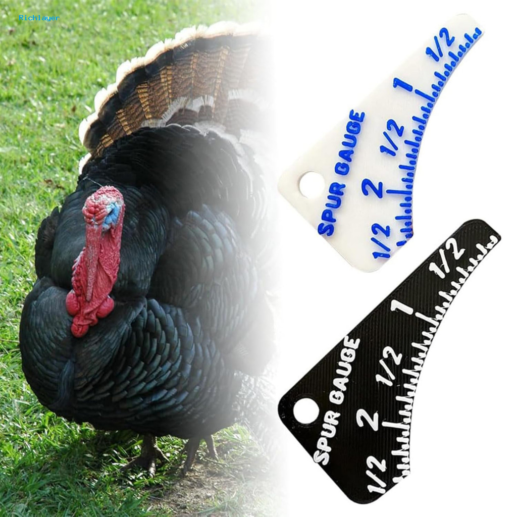 Wild Turkey Spur Ruler Wild Turkey Age Assessment Wild Turkey Spur ...
