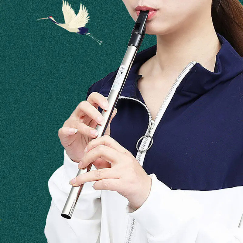 New 6 Hole Flute C/D Key Irish Whistle Ireland Tin Penny Whistle Metal ...