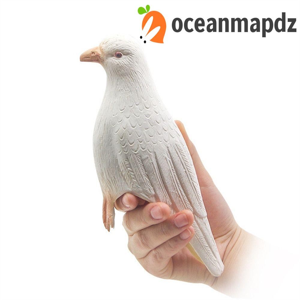 Oceanmapdz Dove Magic Tricks, Performing Mentalism Vanishing Dove ...