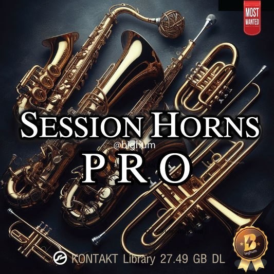 HORNS PRO | Kontakt Lib | Vst Software win / Mac | Shopee Thailand