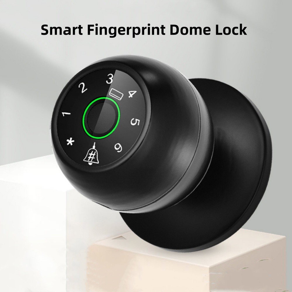 Tuya Biometric Fingerprint Smart Door Lock Electronic Ball Lock ...