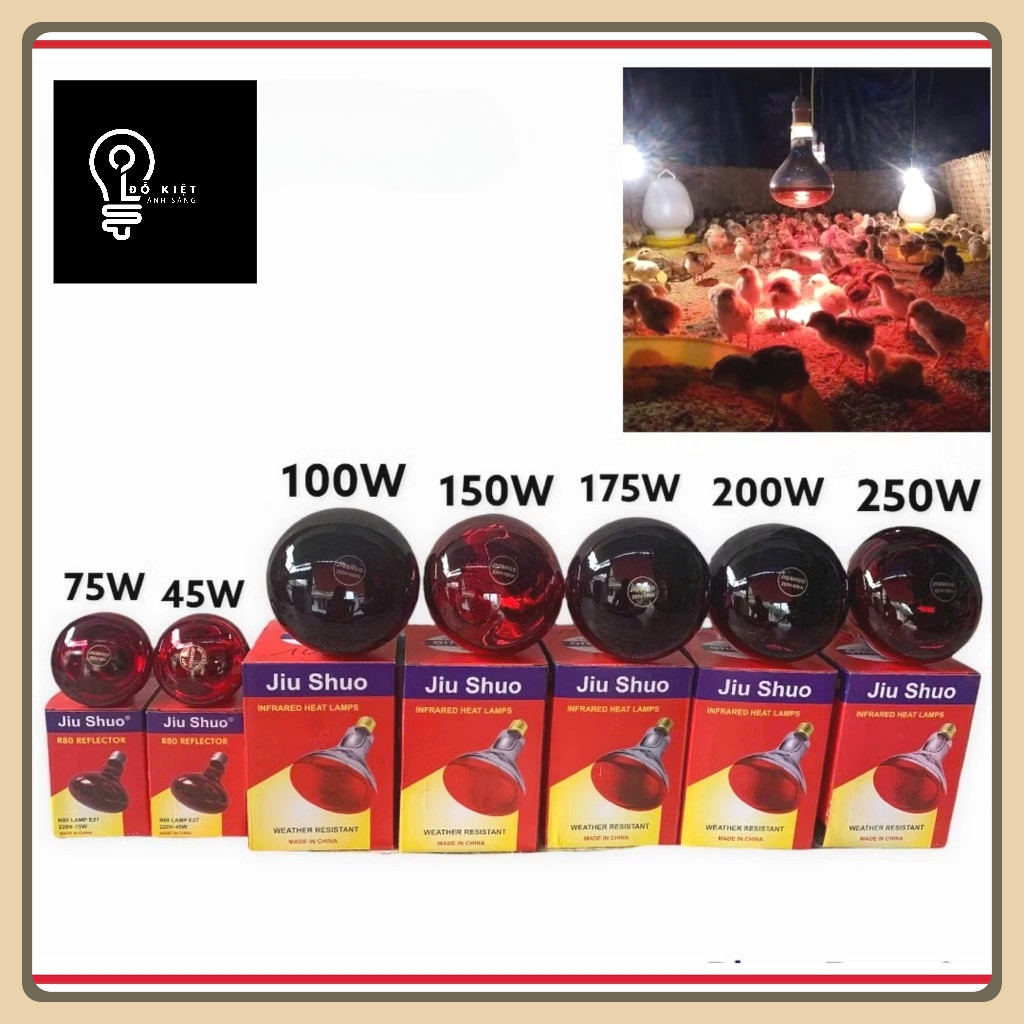 INFRARED CHICKEN FILLED LIGHT BULBS 45W 75W 100W 150W 175W 200W 250W ...