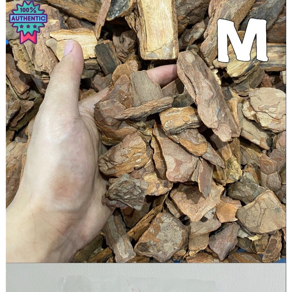 Pine Bark Bedding รองพื้นทำจากเปลือกไม้สำหรัเต่ากและสัตว์เลื้อยคลาน 6 ...