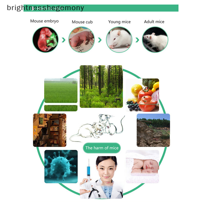 Bgth Poison เหยื่อกล่องทนต่ออุณหภูมิสูง 2398 ซม.กล่องหนูควบคุม Catcher ...