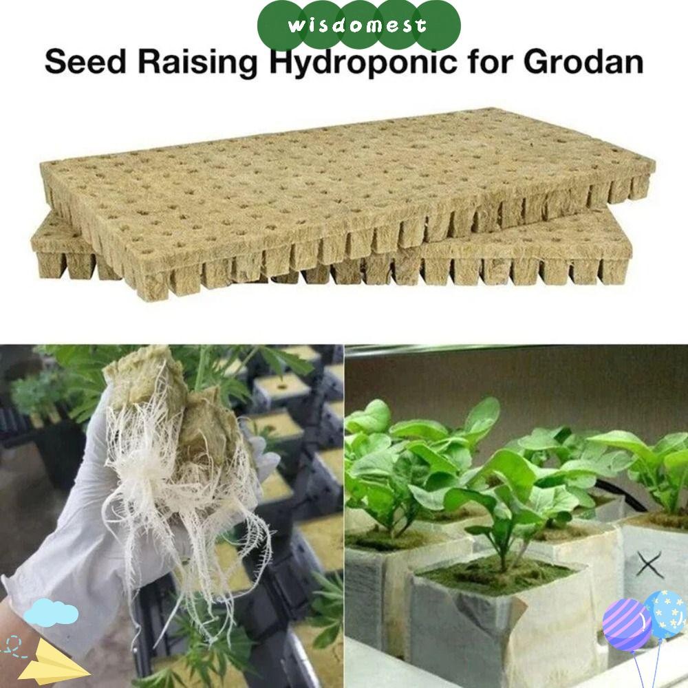 Wisdomest 36/50 ชิ้น Grow Cubes Stonewool, Rock Wool Single Hole ...