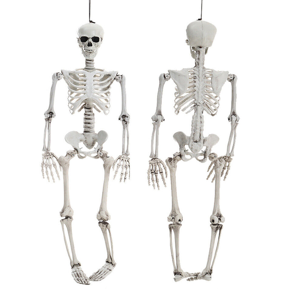 [colog.th] Full Size Fake Human Skull Bones Poseable Horror Halloween ...