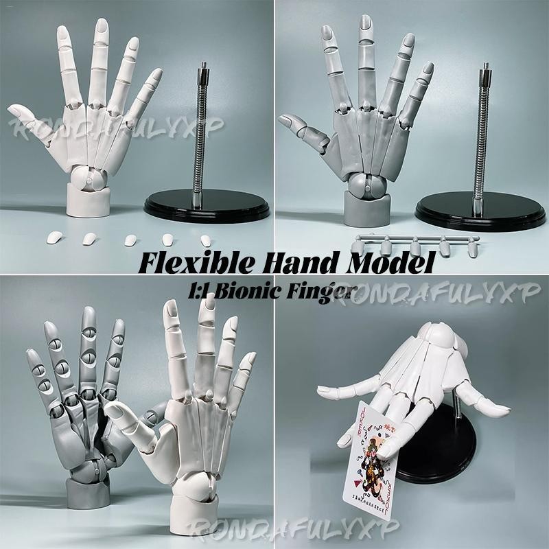 Flexible Hand Model Joints Moveable Artists Manikin Hand Figure ...
