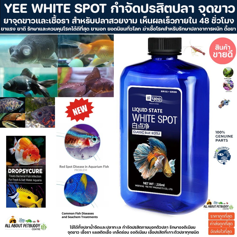 YEE Aquarium White Spot Cure Mold Fish,Tail Rot & Gill Rot 235ml ...