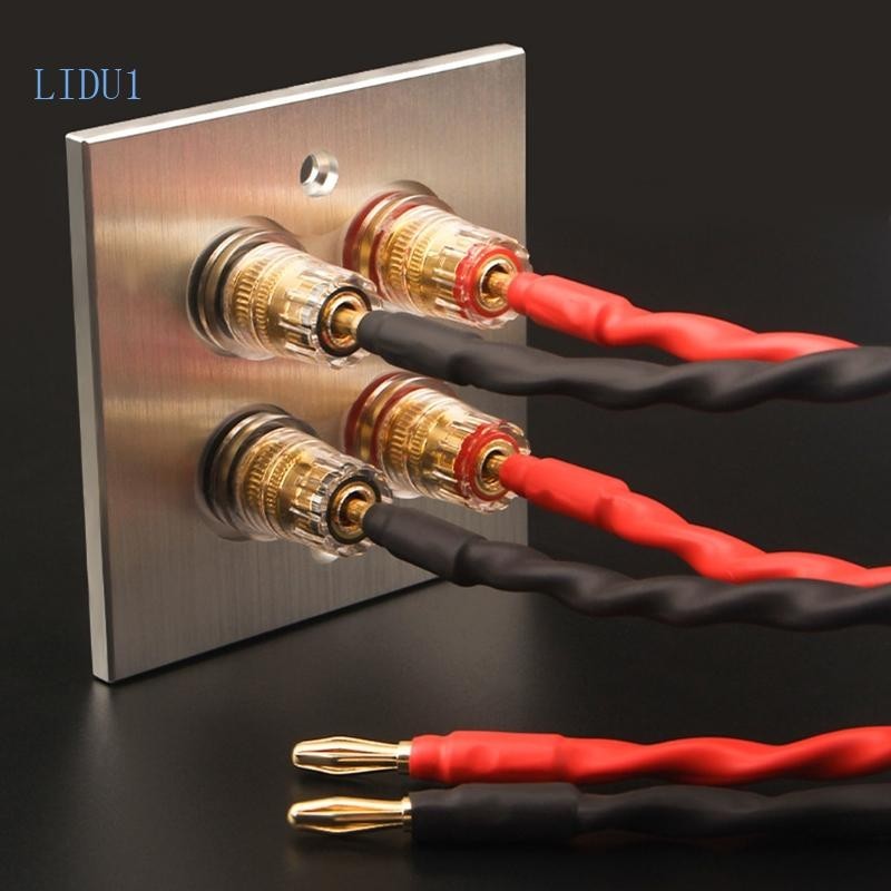 Lidu1 God Rhodium Plated Binding Post ในแผ่นผนังป้องกันการขัดทองแดงในอ ...