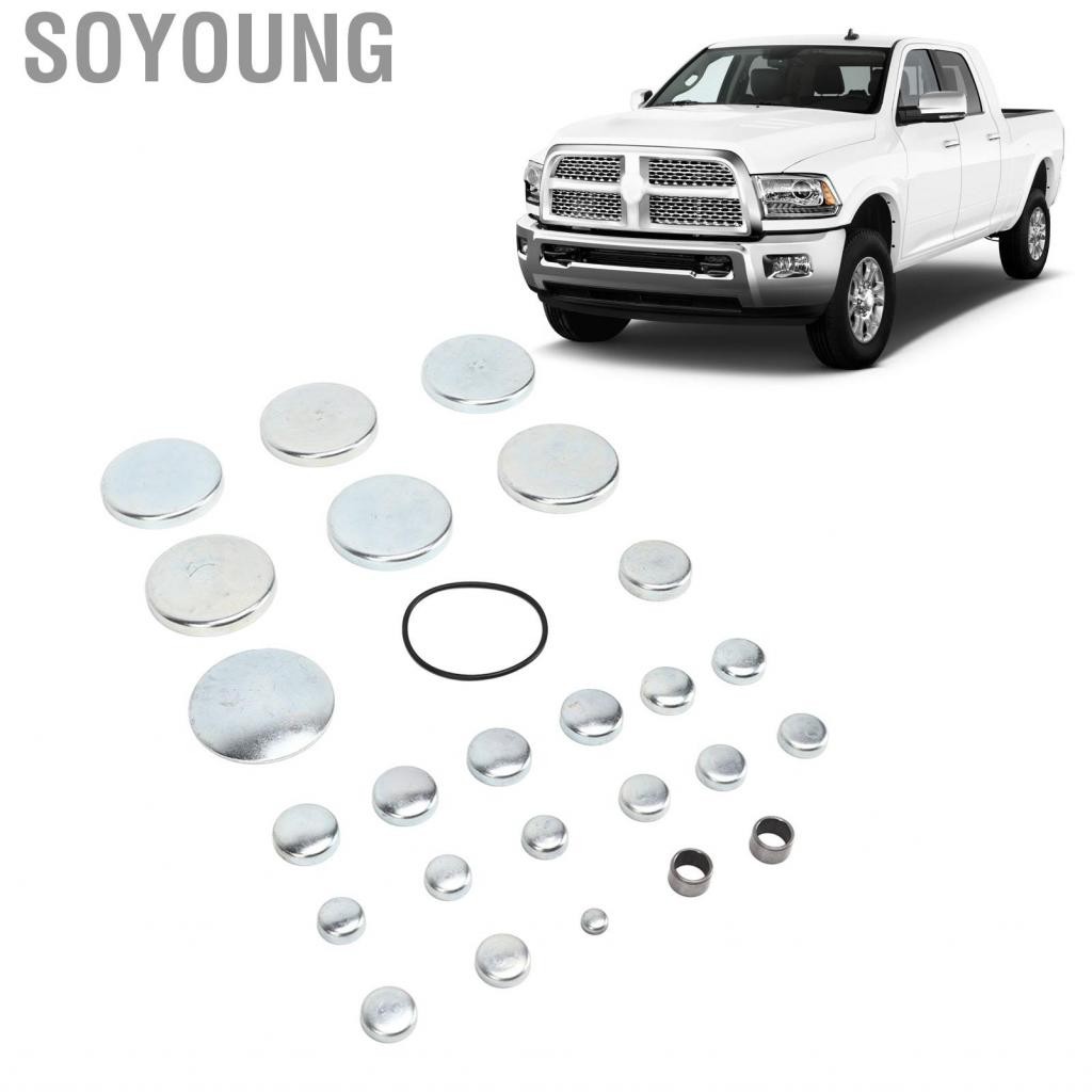 Soyoung 3812092 ชุดปลั๊กขยายฝาสูบสูงและบล็อกความแข็งแรงการปิดผนึกที่ ...