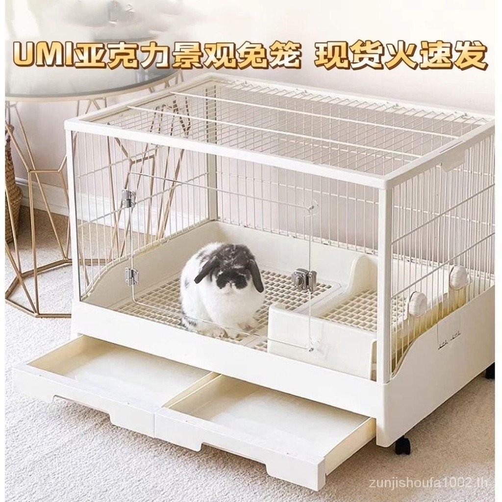 จัดส่งฟรี ~ สินค้าเฉพาะจุด ~ จัดส่งฟรี ~ สินค้าเฉพาะจุด ~ UMI Rabbit ...