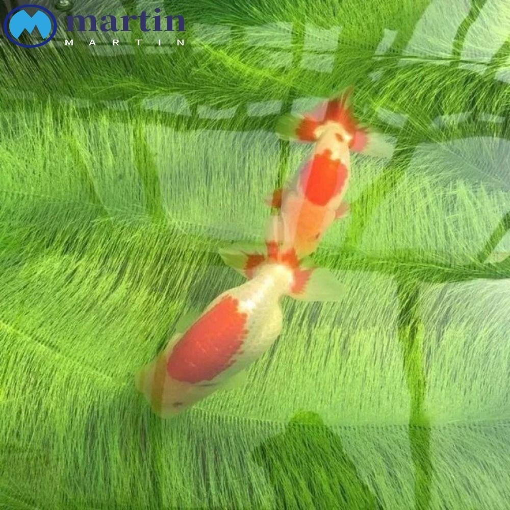 Martin Koi Fish Hatching Grass, ยืดหยุ่น 60/100 ซม.ปลา Spaw Breeding ...