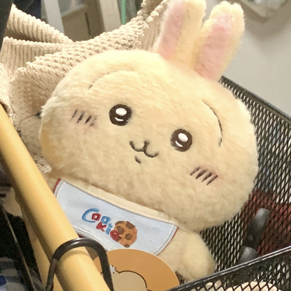 Chiikawa Hairy usagi Hachi Hairy Doll ตกแต่งห้องของขวัญน่ารัก | Shopee Thailand