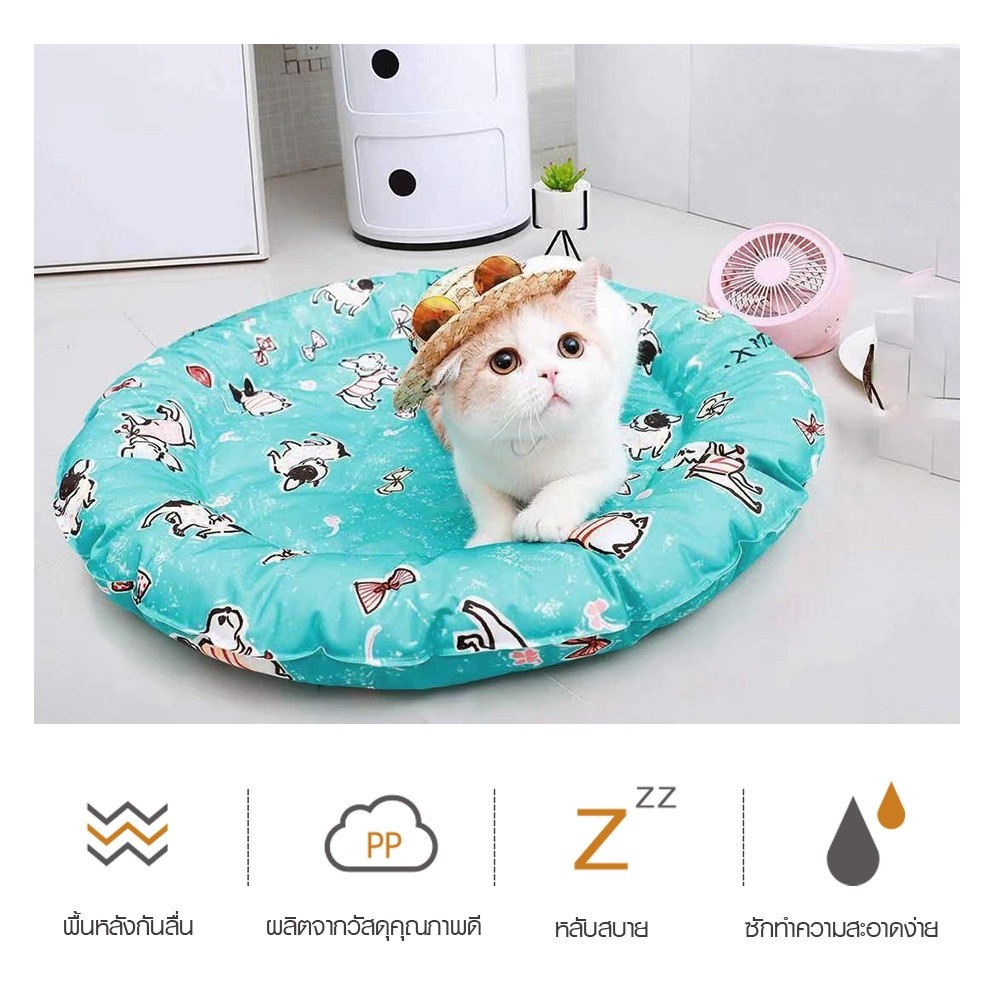 pw639shop DUDUPETS แผ่นรองเย็นสำหรับสัตว์เลี้ยง รุ่น CHILLY-M ขนาด ...