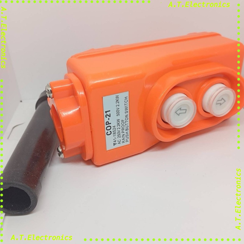 พร้อมส่ง! สวิทซ์รอก 2 ปุ่ม / รีโมทเครน 2 ปุ่ม แบบ push switch button ...