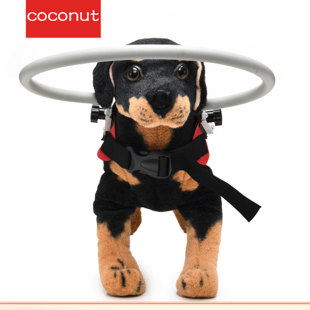 Coco8.6 นิ้วอุปกรณ์รัดสุนัขตาบอด | Shopee Thailand