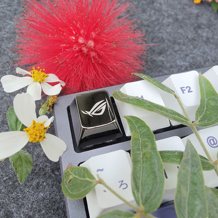 Lost Eye-RX Zinc Alloy Metal Key Cap ESC Unique Keycap Key Cap | Shopee ...