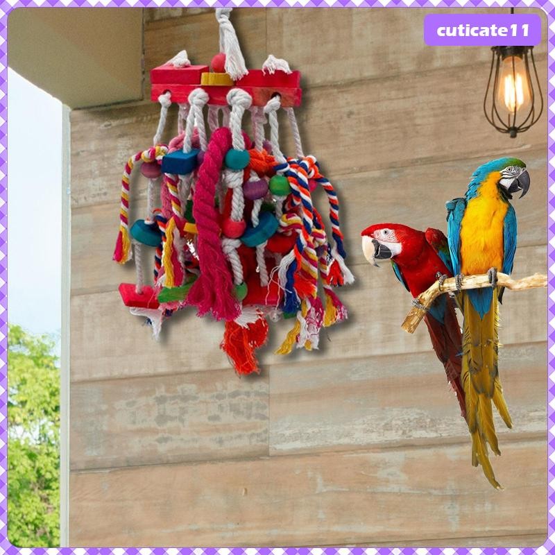 [Cuticate1] Bird Chewing ของเล่นไม้แขวน Swing การฝึกอบรม Tearing ของ ...
