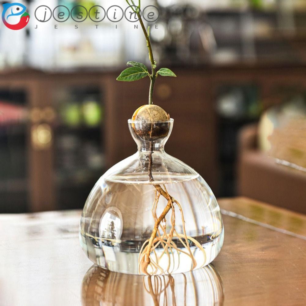 Jestine แจกัน Hydroponic ญี่ปุ่นคุณภาพสูงง่ายต่อการพกพาภาชนะแจกันแก้ว ...