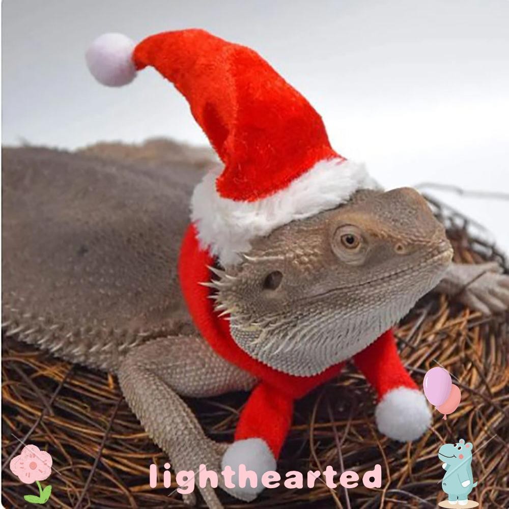 Lighthearted หมวกสัตว์เลื้อยคลาน, โพลีเอสเตอร์ Soft Lizard Santa หมวก ...