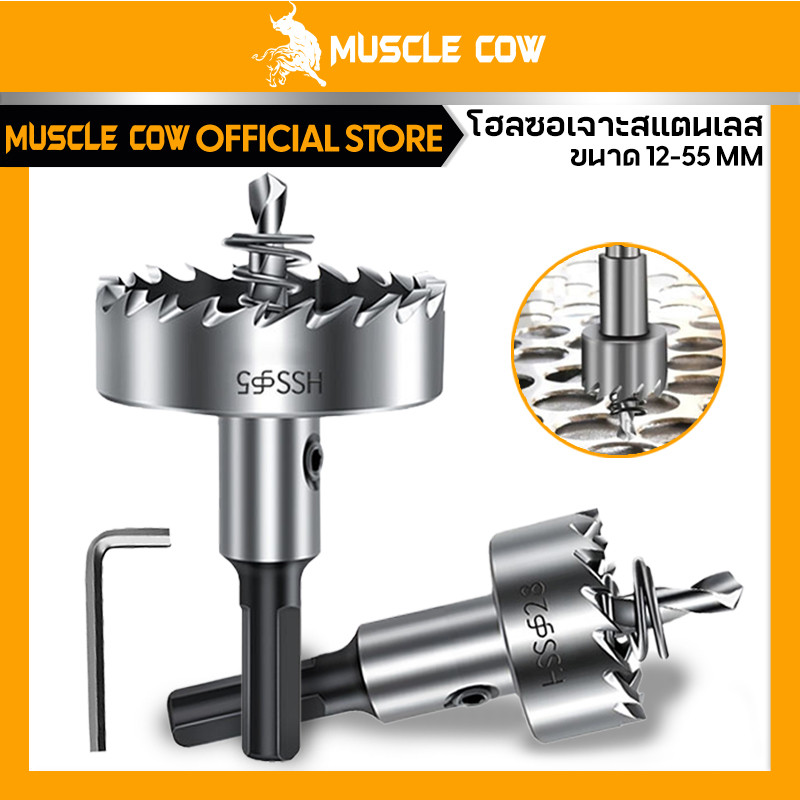 MUSCLE COW ดอกสว่าน โฮลซอเจาะเหล็ก อลูมิเนียม HSS ขนาด 12-55 mm Hole ...