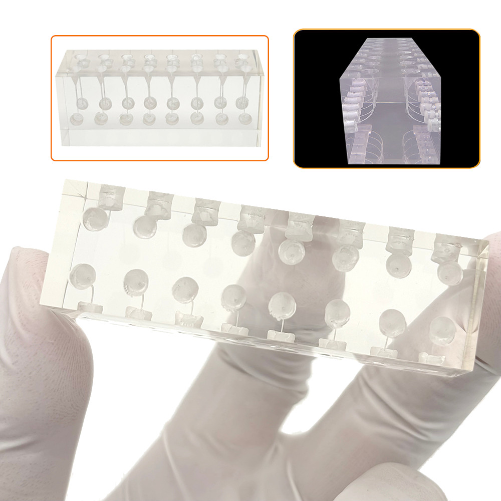 16 หลุมทันตกรรมการศึกษาการสอนฟันรุ่น Endodontics Root Canal บล็อกเรซิ่น ...