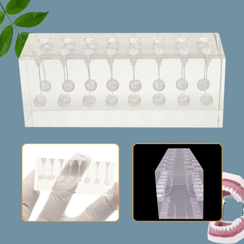 16 หลุมทันตกรรมการศึกษาการสอนฟันรุ่น Endodontics Root Canal บล็อกเรซิ่น ...