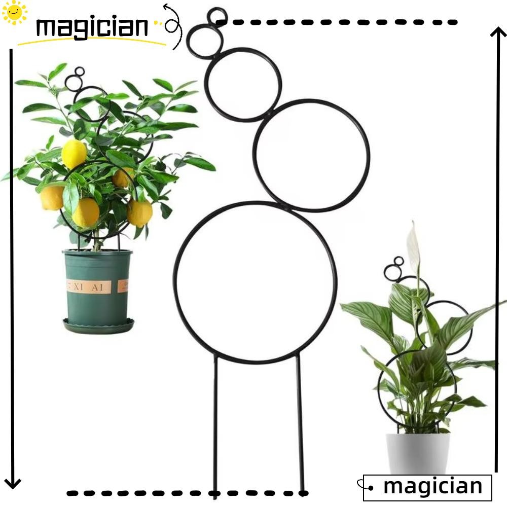 Mag เหล็กรองรับพืช, ก้านคงที่รอบปีนเขา Vine Trellis, Solid Stackable โลหะปีนเขาชั้นวางพืชดูแลพืช ...