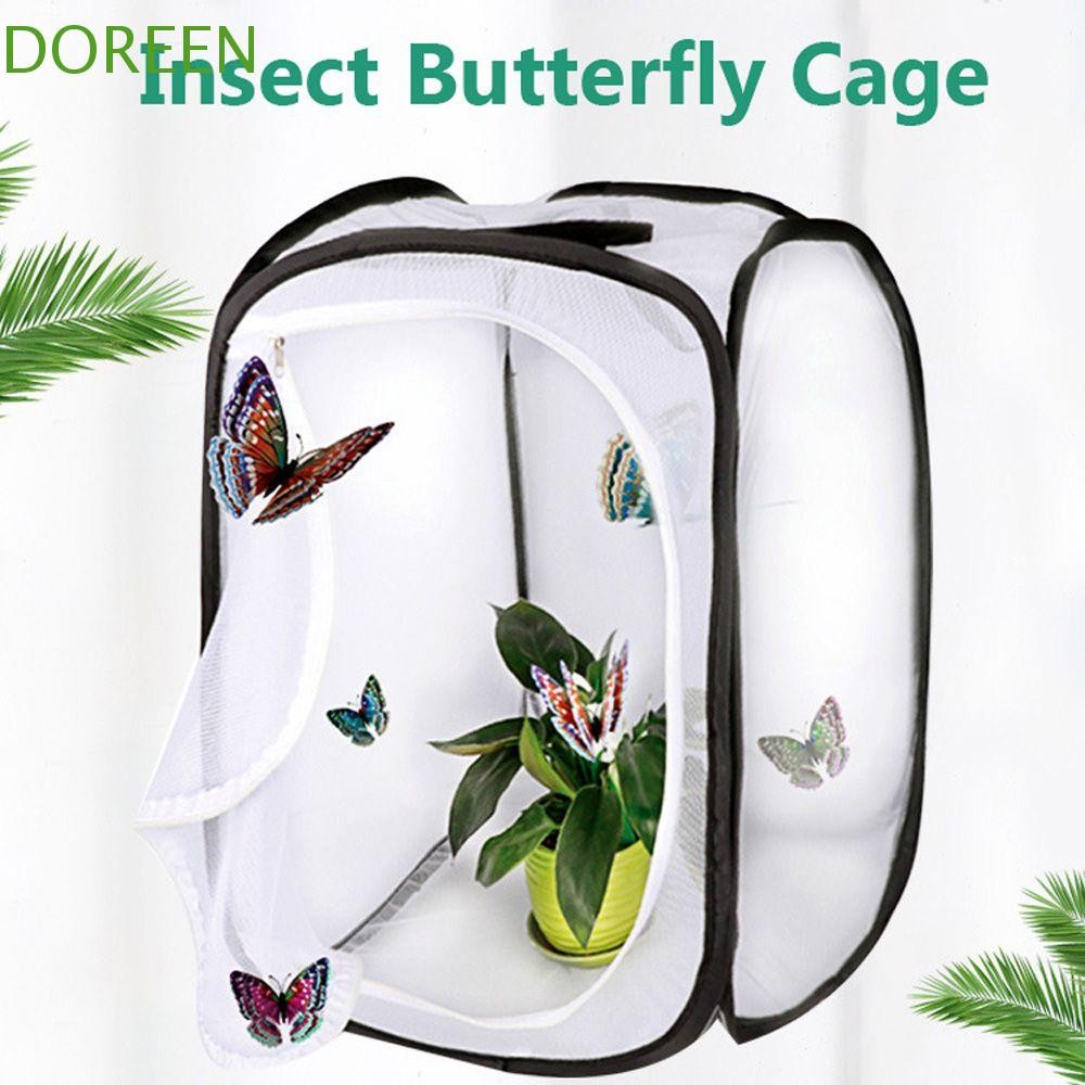 DOREEN กรงแมลง Proof Ant กล่องที่อยู่อาศัยพับได้ Mantis Incubator ต้น ...