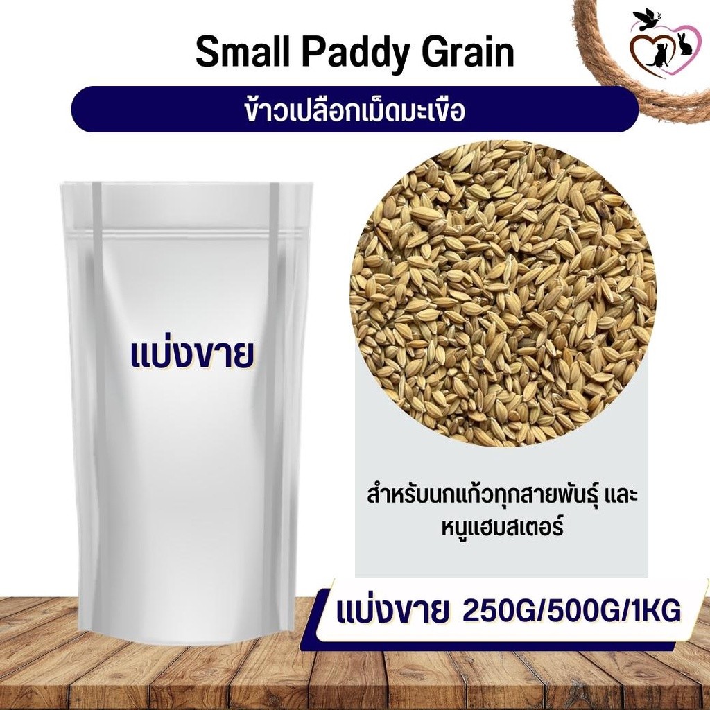 ข้าวเปลือกมะเขือ Small Paddy Grian อาหารนก กระต่าย หนู กระต่าย กระรอก ...