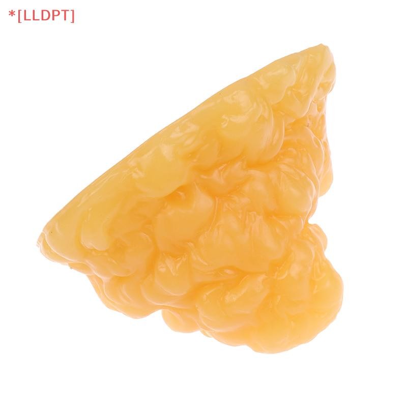 [LLDPT] Fat Replica Fatty Tissue Model Human Body Fat Replica 1lb Human ...