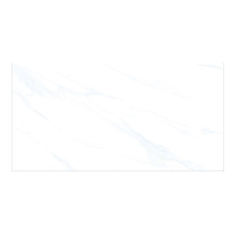 BOONPLUS กระเบื้อง NEW KATIA WHITE CARRARA(CG12601)60X120*A | Shopee ...