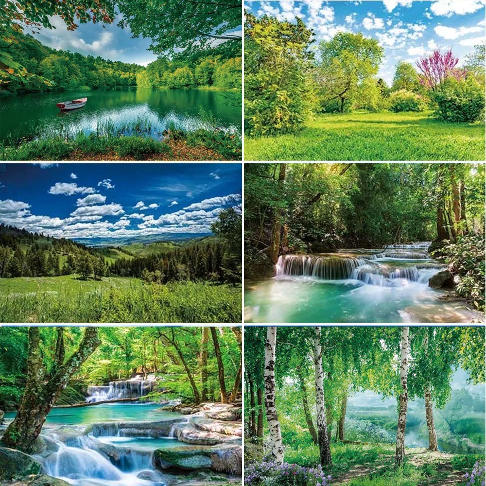 สีเขียวป่าหญ้าการถ่ายภาพ Backgroud ฤดูใบไม้ผลิฤดูร้อน Park ภูมิทัศน์ ...