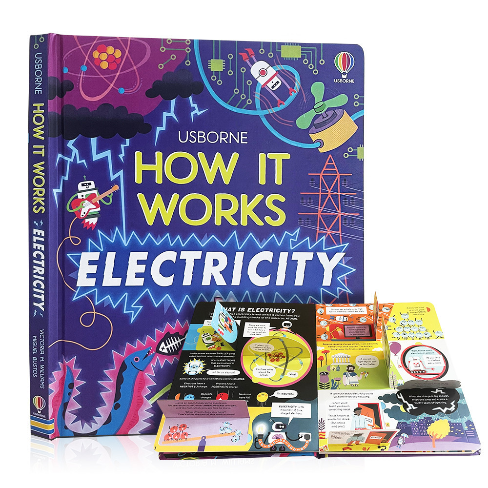 Usborne How It Works ELECTRICITY 3D Flap English Books for Kids ...