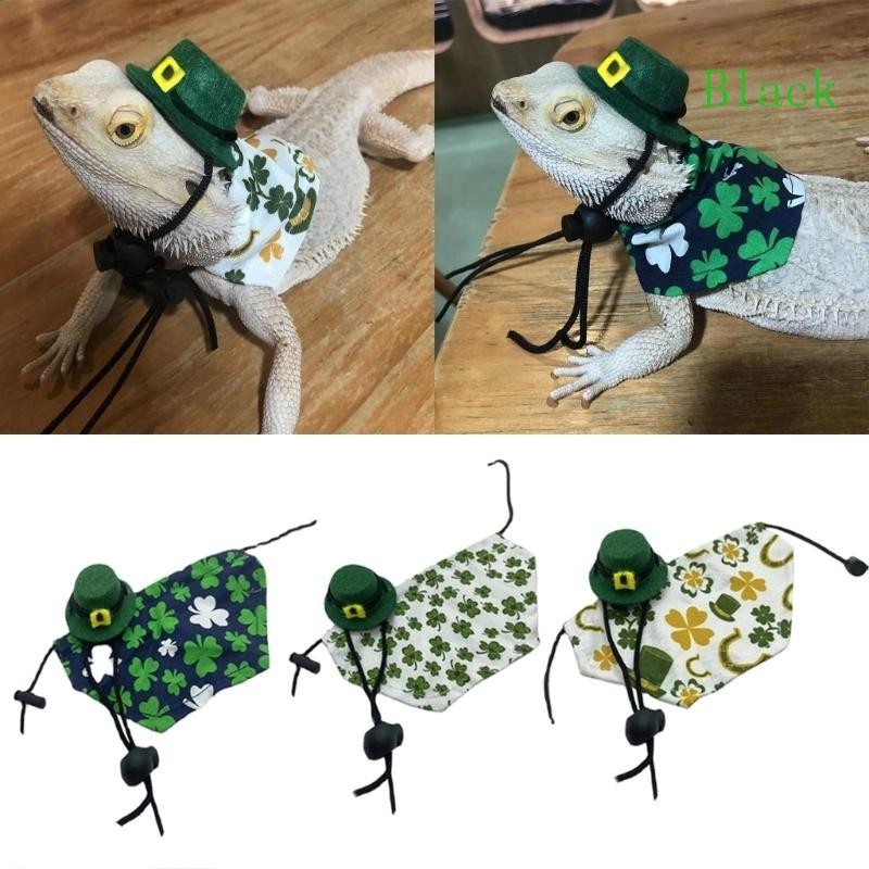 Black Bearded Dragon Saint Patricks Day Hat and Cloak Set ชุด Lizard ...