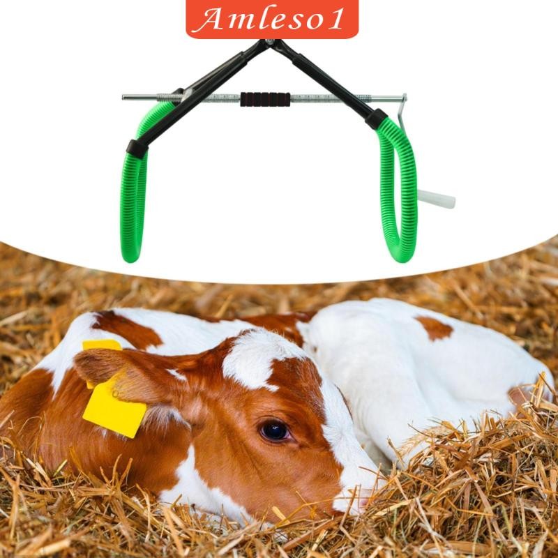 [Amleso1] Cow Hip Lift 1500kg ความจุเหล็กวัว Hip Clamp Ob การให้นมบุตร ...