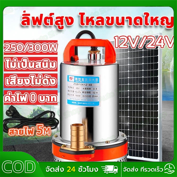 COD Pump สแตนเลส ปั๊มจุ่ม ปั๊มน้ำไดโว่ฐานเหล็ก ท่อออก 1นิ้ว12/24V 300W ...