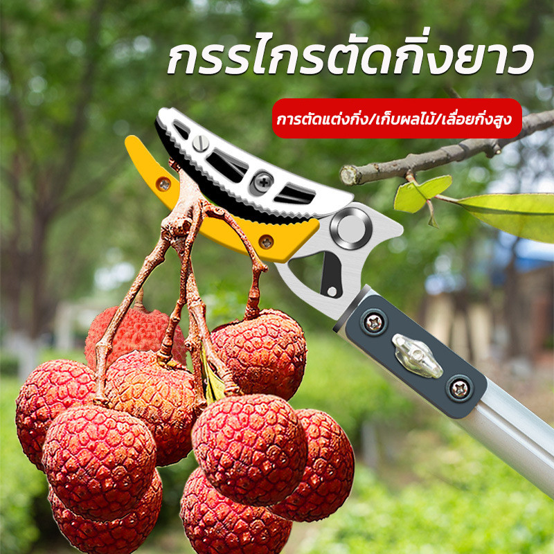 กรรไกรตัดกิ่งไม้สูง กรรไกรตัดผลไม้ SK5 ปรับความยาวได้ 1.8M~4M กรรไกรตัดกิ่งด้ามยาว ตัด หนีบ ...