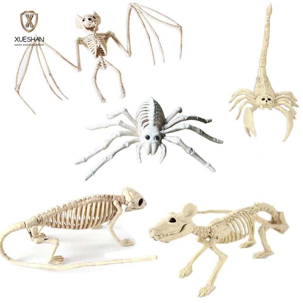 Xueshan Animal Skeleton Mouse Bat Home Party Horror Scorpion กะโหลก ...