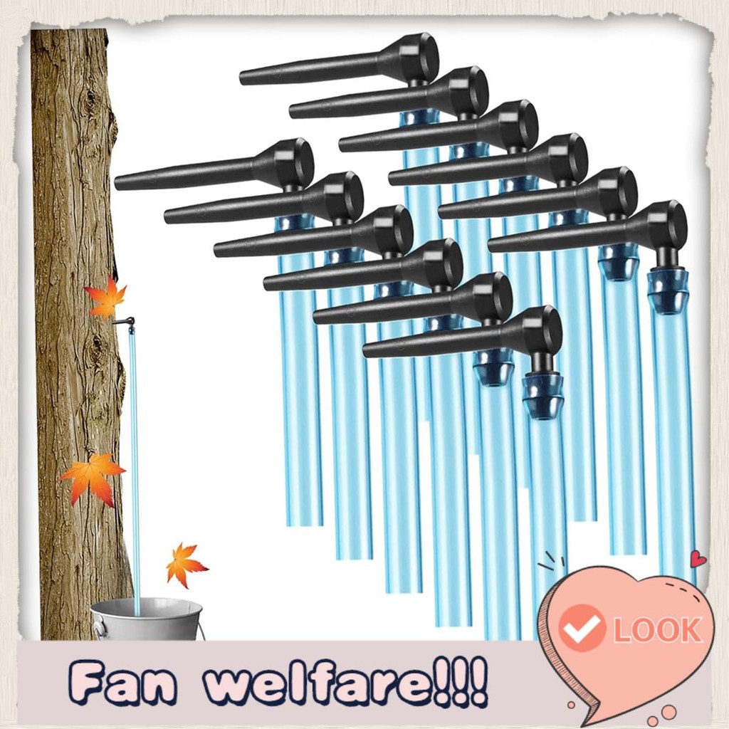 12 ชุด Maple Syrup Taps 24in Tubes Maple Syrup อุปกรณ์เกรดลื่น Maple ...