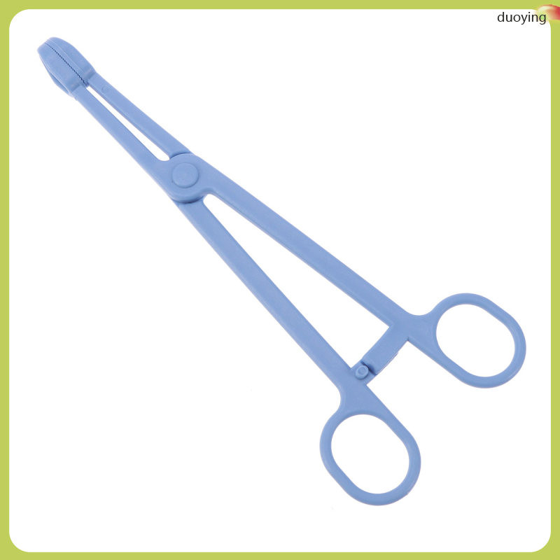 Hedgehog Pet Stool Clamp Tortoise Reptile Bracket Lizards อุปกรณ์ทํา ...