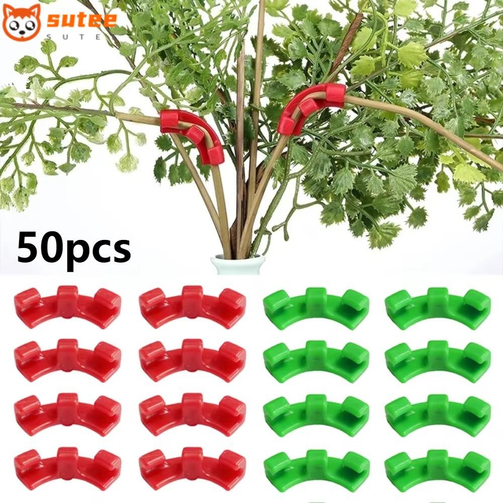 Sutee 50 ชิ้นดัดคลิปคงที่, Reuseable สวนเครื่องมือที่หนีบพืช,ทนทานดัด ...