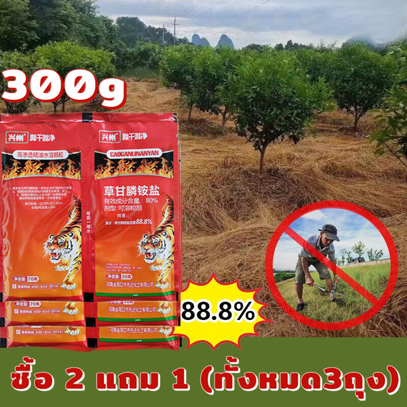 YS Tool แพ็ค3 สารกำจัดวัชพืช ยาฆ่าต้นไม้ใหญ่ สูตรเข้มข้น300g | Shopee Thailand
