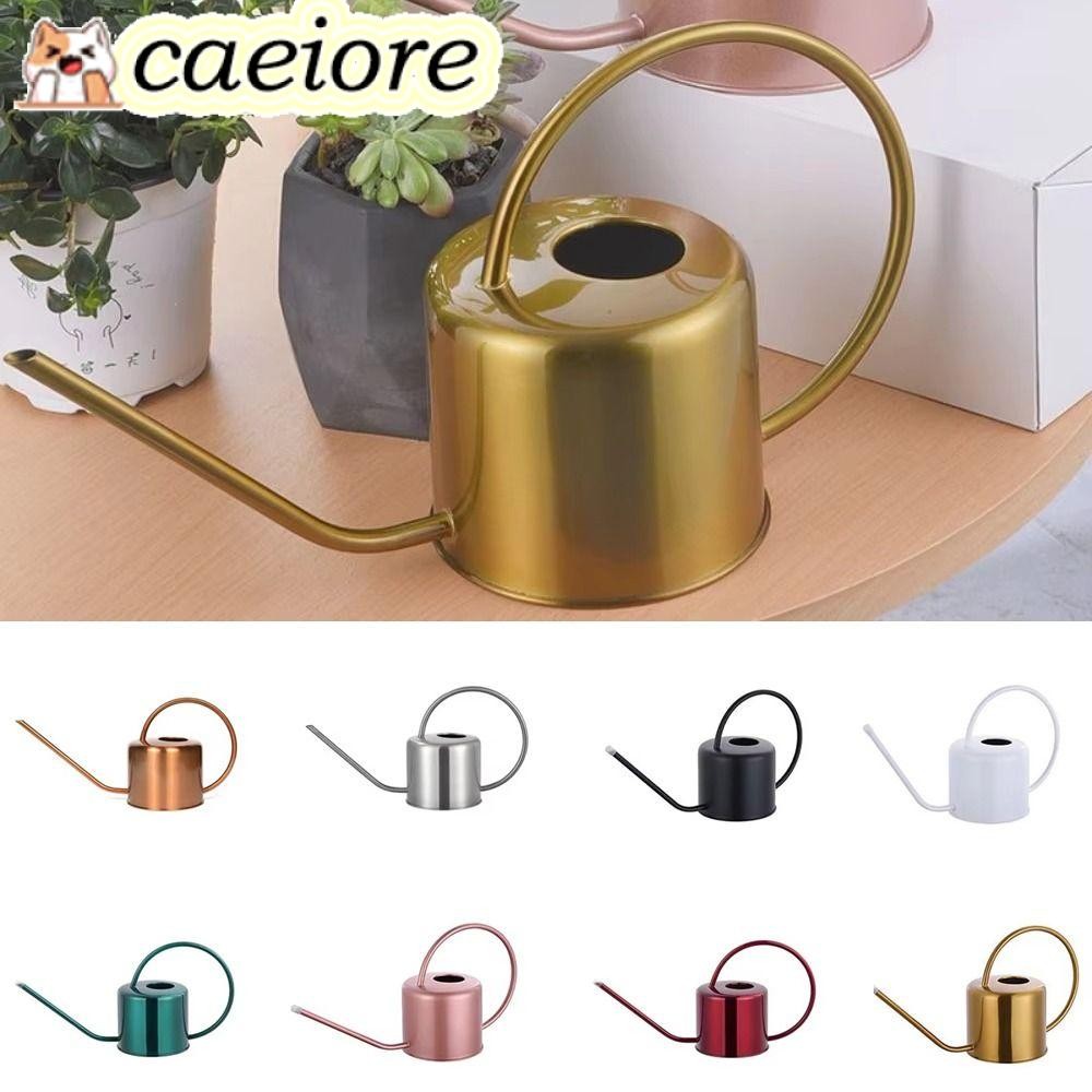 CAEIORE u Plant Sprinkler Kettle, กระป๋องรดน้ําสแตนเลส 1.3 ลิตร, กัน ...