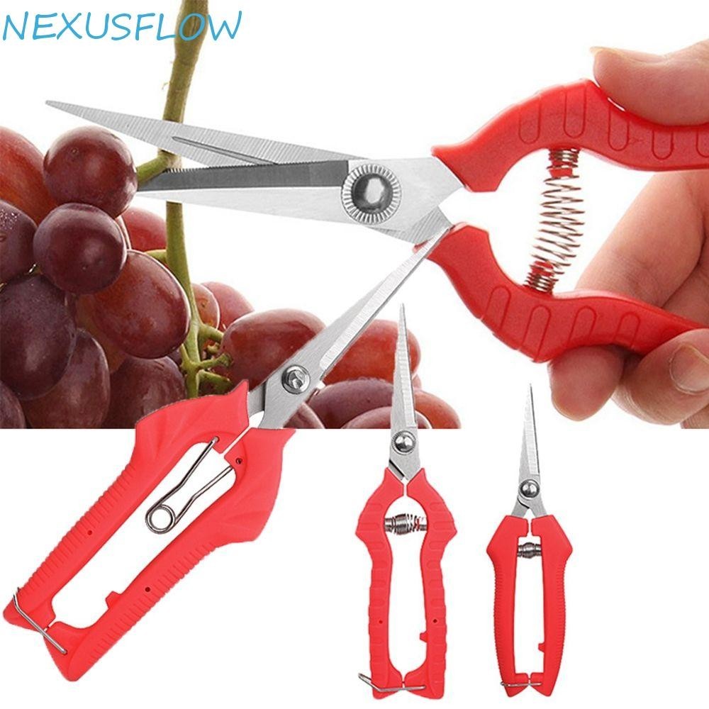 Nexusflow กรรไกรตัดแต่งกิ่งสวน DIY บอนไซเครื่องมือบ้านดอกไม้หญ้ามือ Pruner เครื่องมือ | Shopee ...