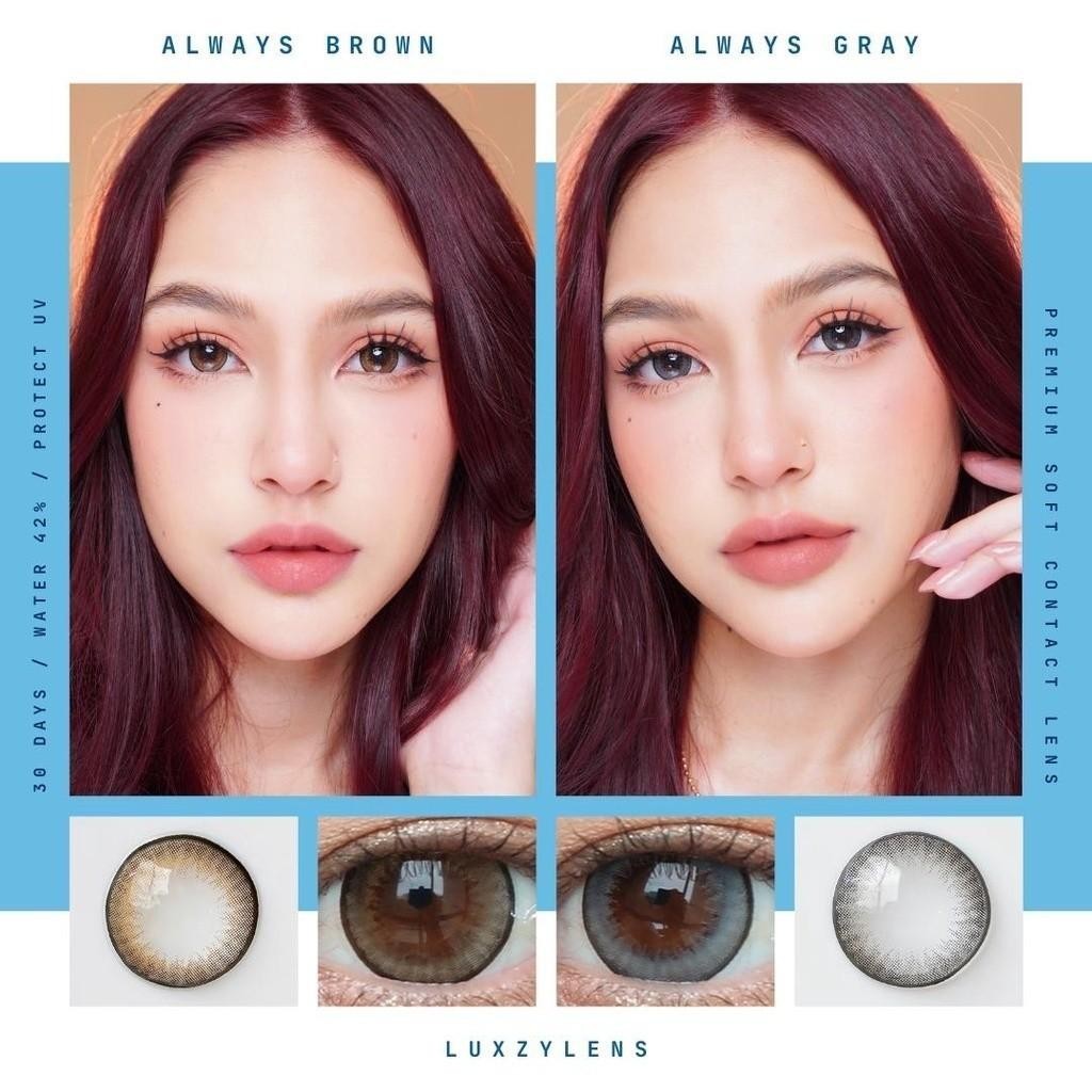 คอนแทคเลนส์[บิ๊กอาย] Always Brown / Gray (Luxzylens) ☁️ มี อย.ไทย | Shopee Thailand