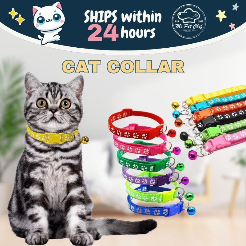ปลอกคอแมวแบบปรับได้ Kucing Rantai Kucing Loceng สร้อยคอแมว ปลอกคอสัตว์ ...