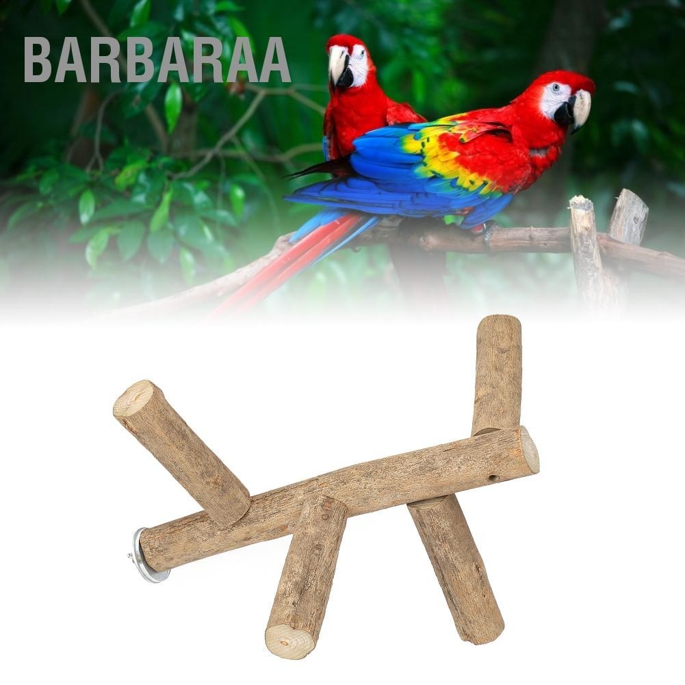 Barbaraa ไม้สัตว์เลี้ยงนกแก้วเกาะกิจกรรมยืนสาขาของเล่นกัดเล่นอุปทาน ...