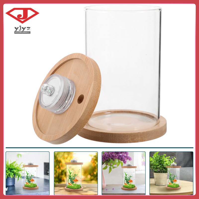 ตู้ปลาขนาดเล็ก Terrarium Betta Light-up Glass Bucket Shine ไม้ ...